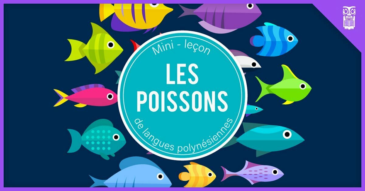 Mini-leçon de langues Polynésiennes : les poissons - Hommes de Polynésie