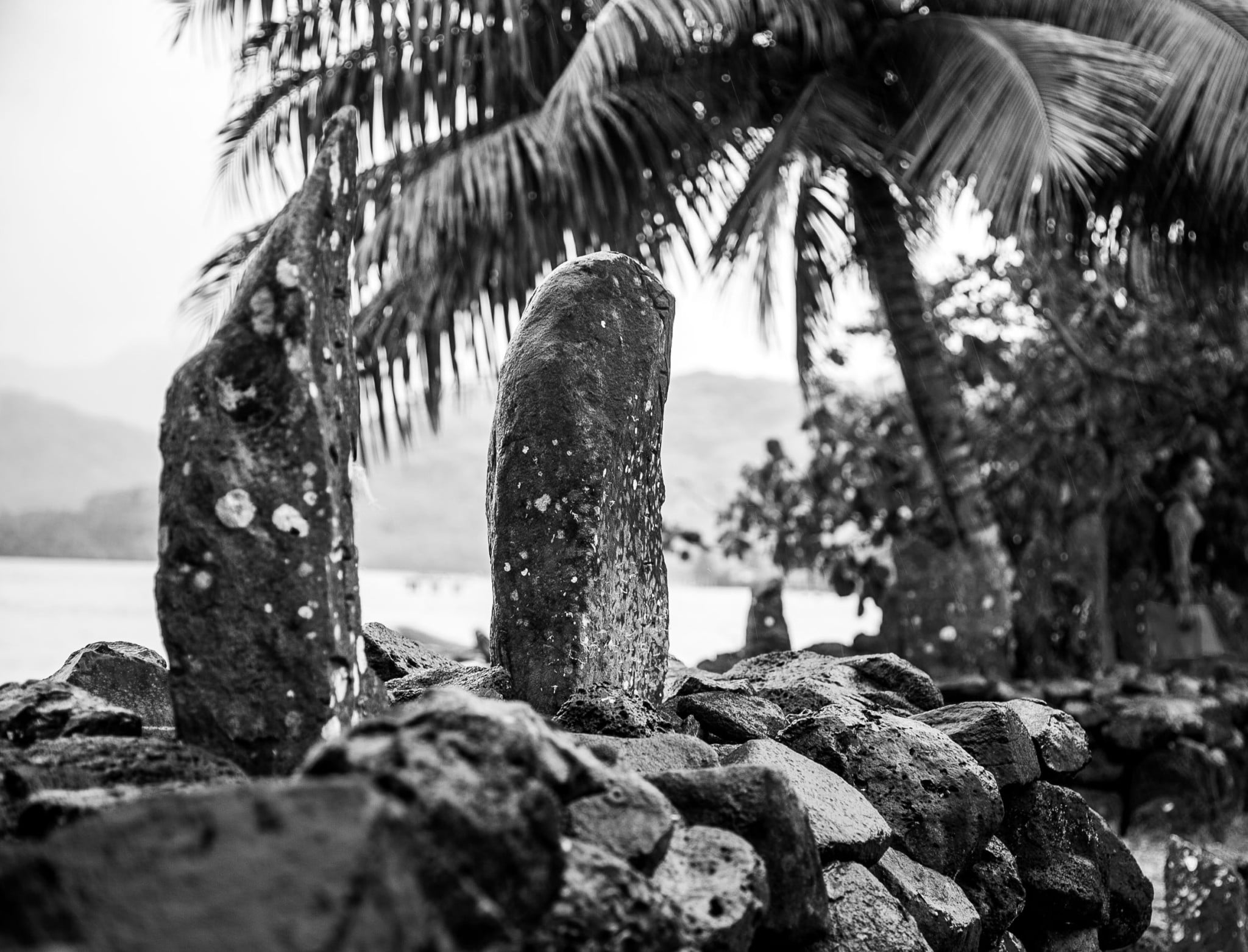 Tihoti Matauteute Barff : faire corps par l’esprit avec les ancêtres ...