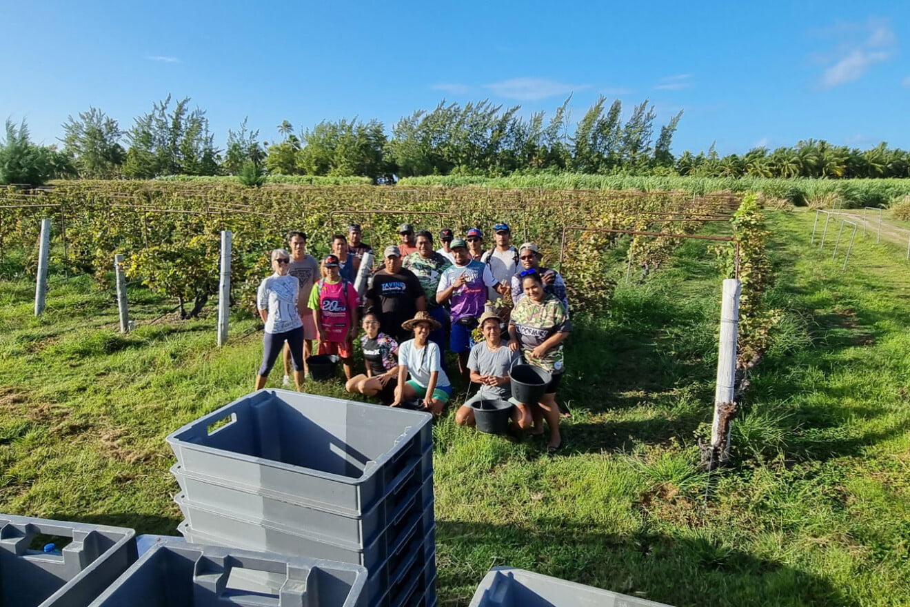 Sébastien Thépénier, une histoire liée aux « Vins de Tahiti » - Hommes de Polynésie
